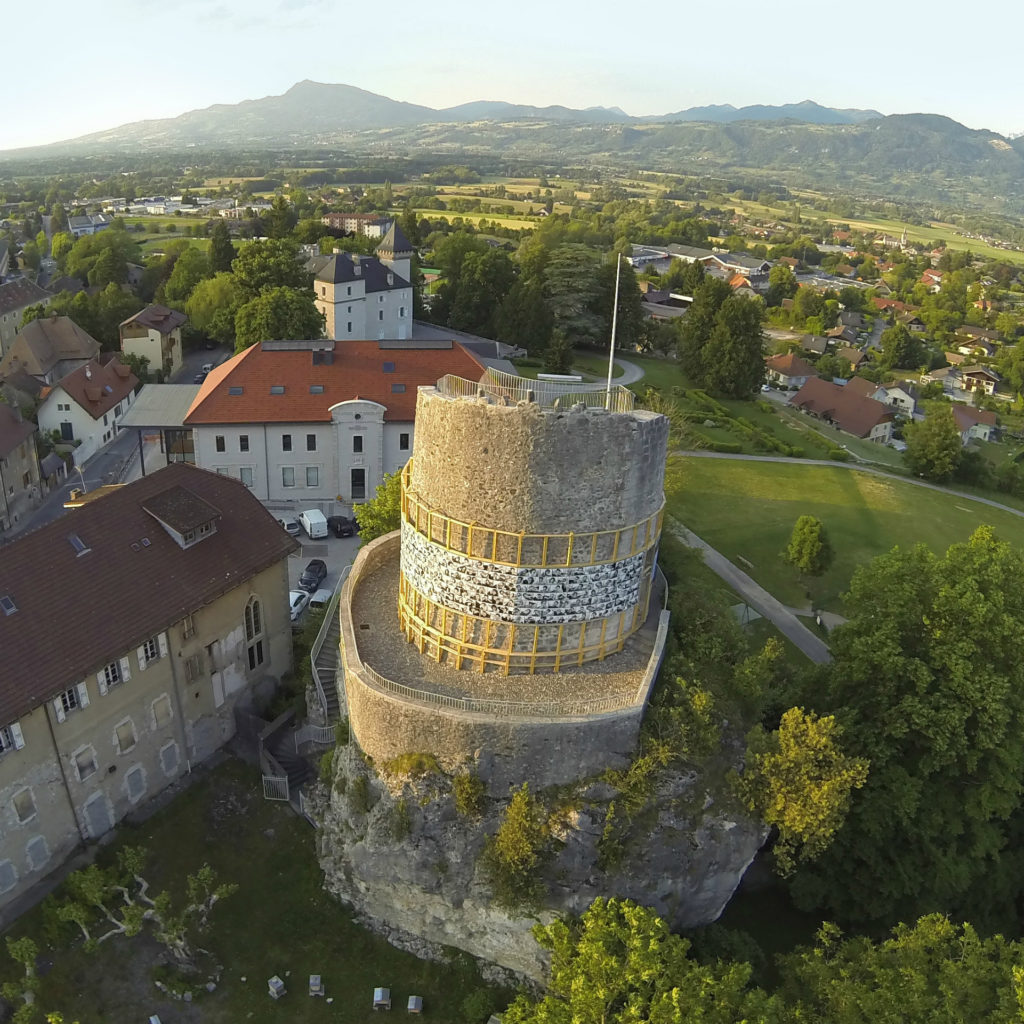 Conférence « La tour et l'oiseau » par Denis Laissus - Guides du ...
